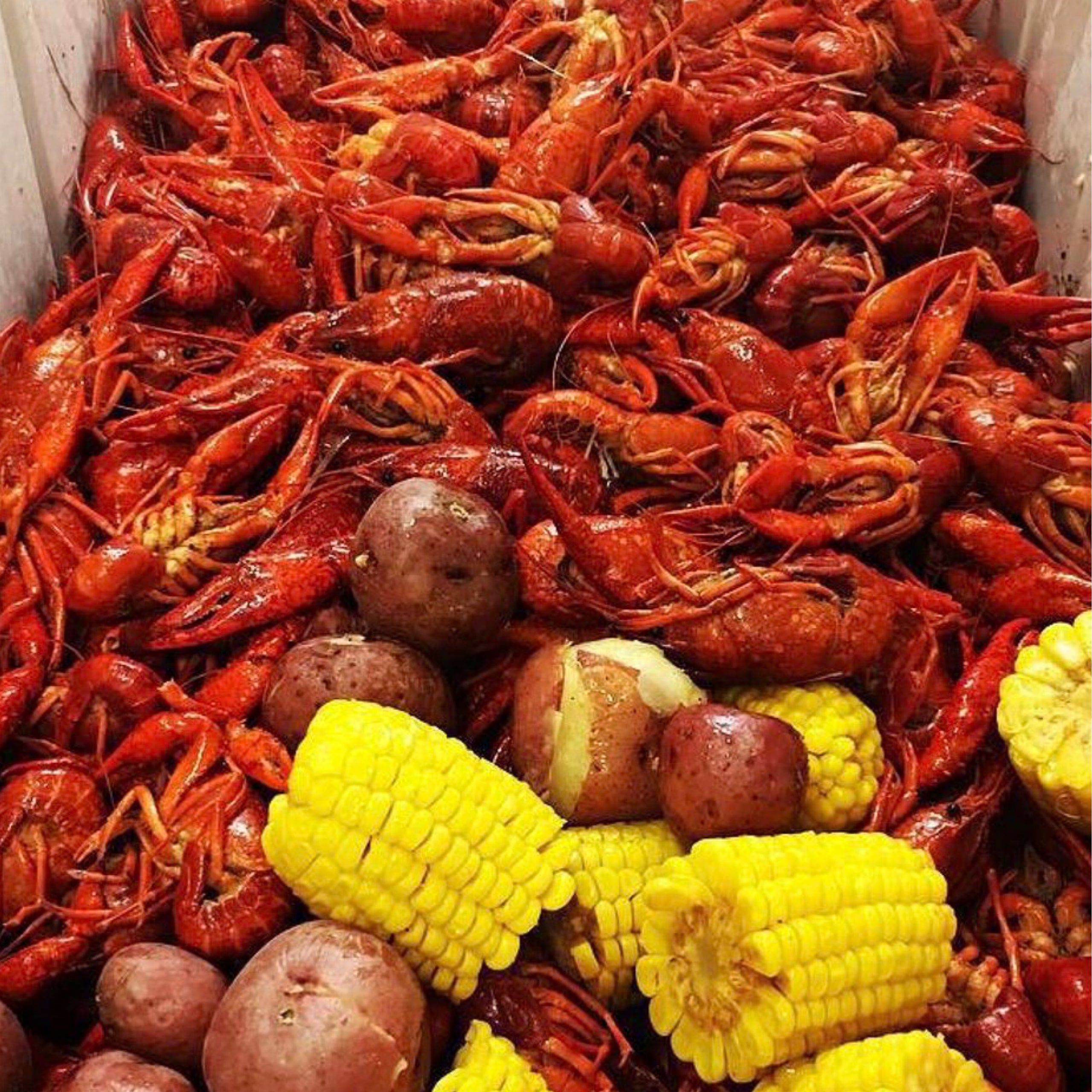 ICE CHEST SPECIAL 50lbs | Texas Crawfish Company